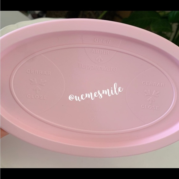 Tupperware | Kitchen | Tupperware Modular Mate Flip Up Lid Cereal ...